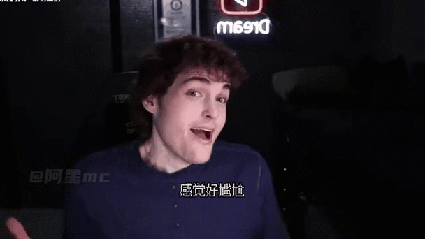 大神dream长什么样截图