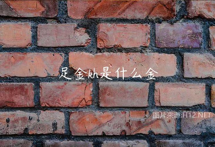 KH金是啥意思图标