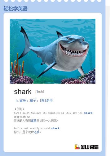鲨鱼的英文截图