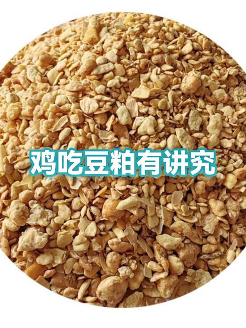 吃飞鼠肉有什么好处图标