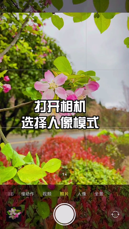 华为手机剧场光拍摄教程图标