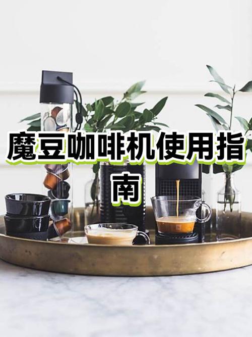 魔豆怎么用图标