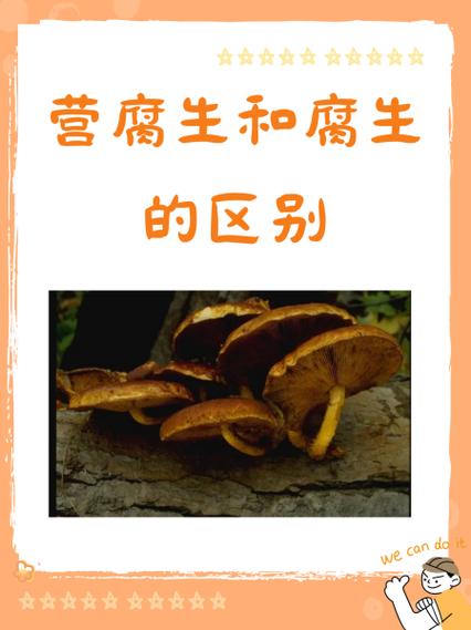 病毒是营腐生生活吗截图