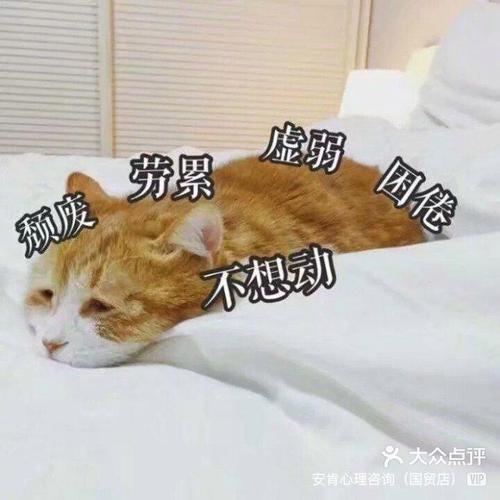 什么都不想干了怎么办图标