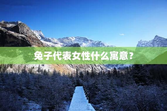 兔子比喻什么女人游戏截图