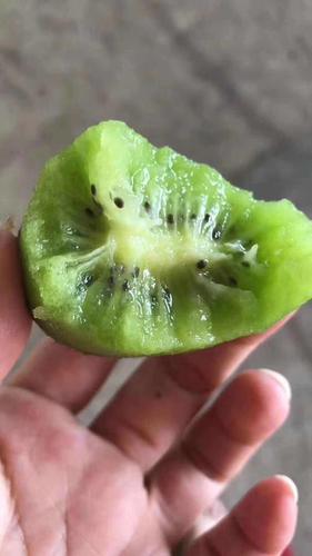 齐齐果业图标