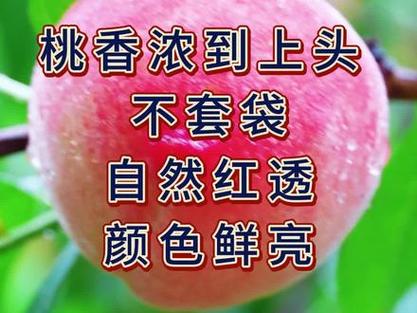 五月霸桃品种简介图标