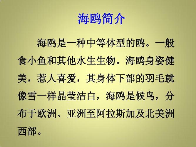 海鸥vp6.6.2最新版本更新内容图标