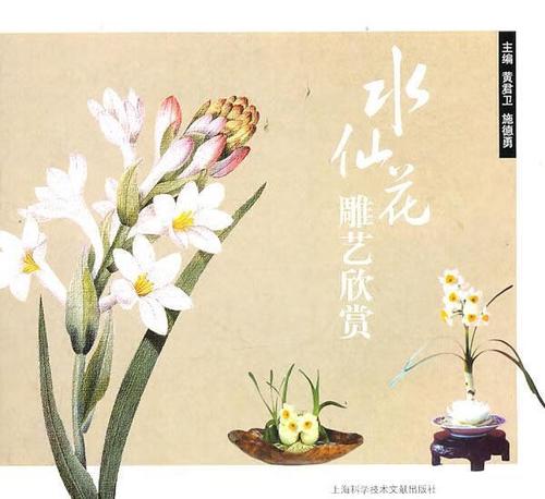 水仙文好看吗图标