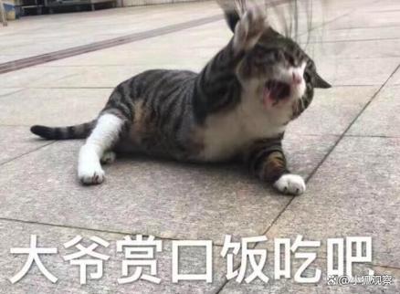 赏口饭吃表情包图标