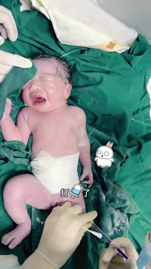 婴儿是人类幼崽吗图标