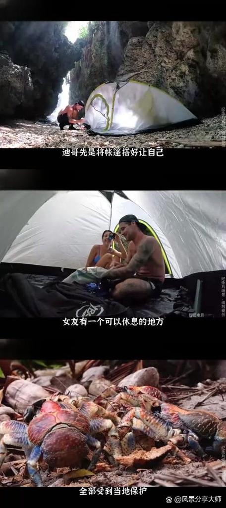 和美女一起荒岛求生图标