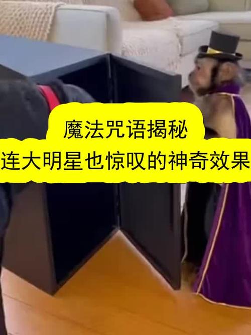 缔默魔法咒语图标