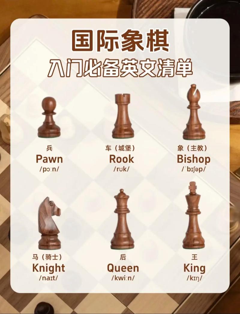 chesse的四种意思图标