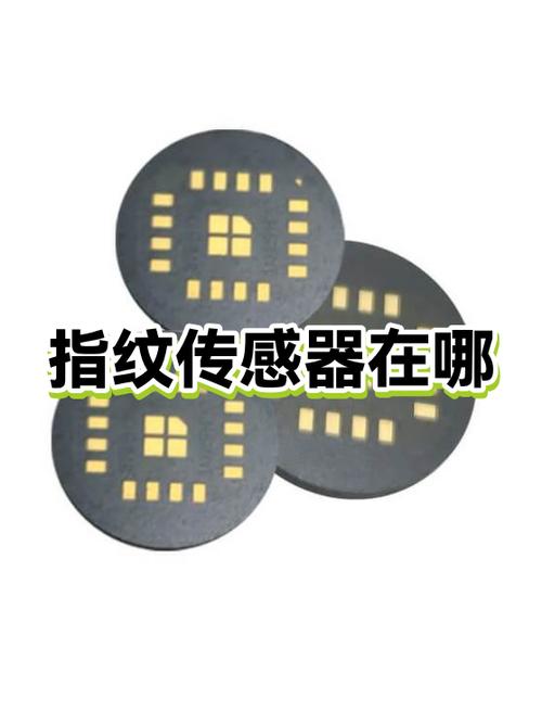 指纹传感器图标