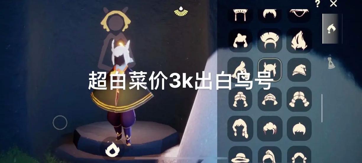 光遇白鸟号多少钱截图