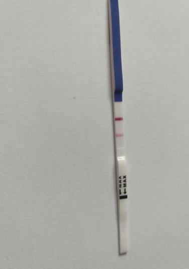 验孕棒测出怀孕照片截图