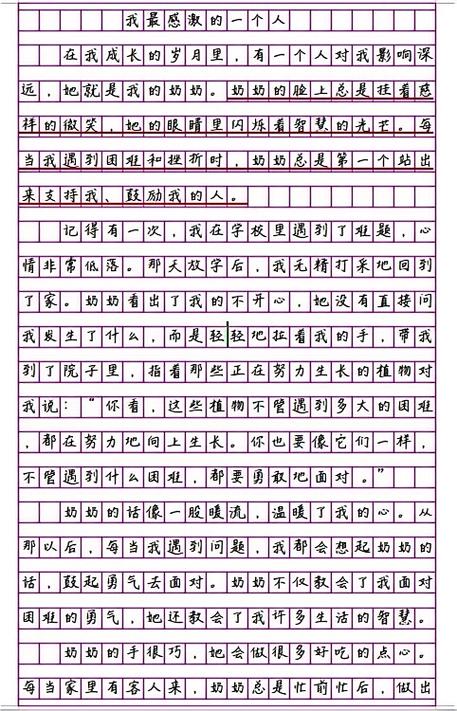 他一了作文400字左右截图