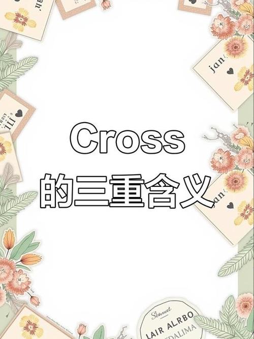 cross的四种意思