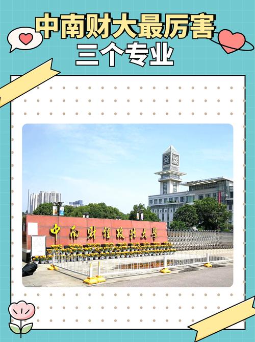 中南财经政法大学出来干什么工作图标