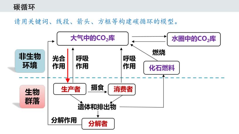 能量流动的渠道是什么图标