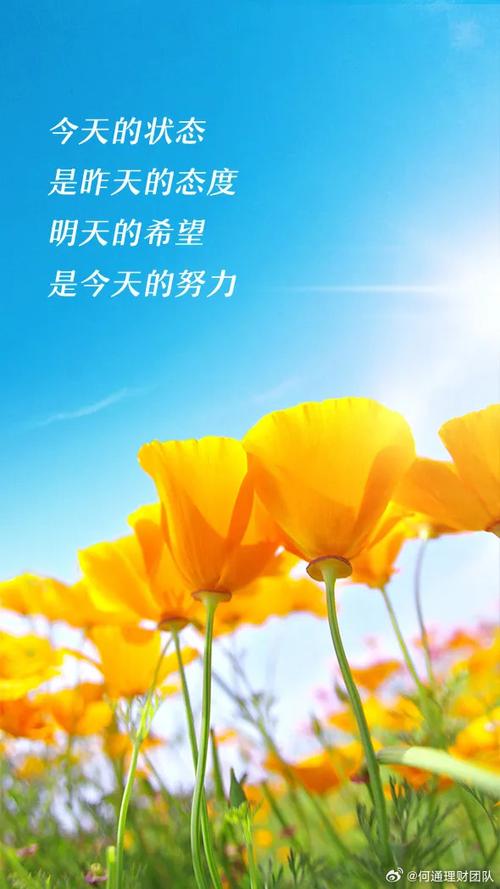 每日一句名言摘抄激励自己