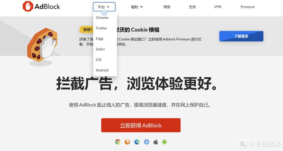 广告拦截浏览器截图