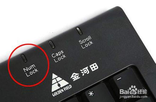 键盘上的capslock灯亮表示图标