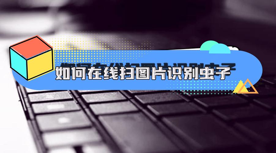 识别昆虫扫一扫图标