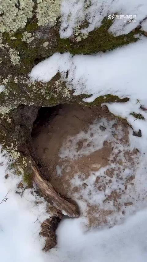 雪地地图神秘山洞在哪图标