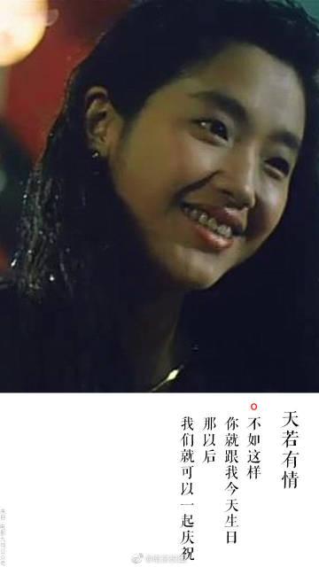 市委第一红人 小说
