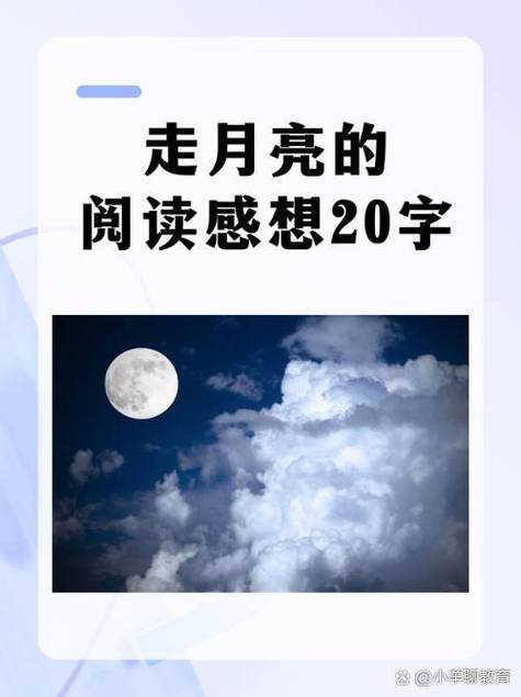 月光阅读理解