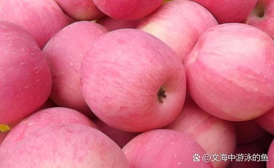 怎样保存苹果的最好方法