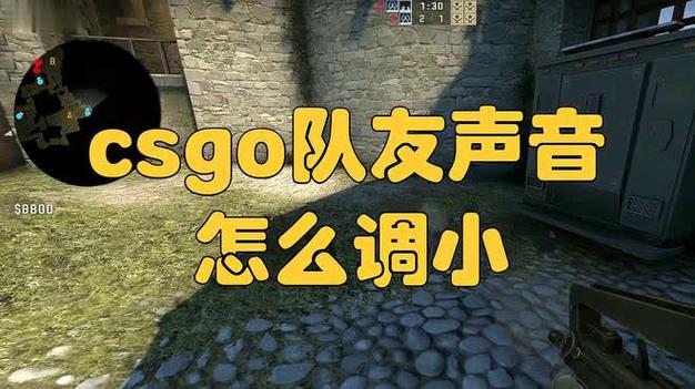 csgo队友麦声音调小