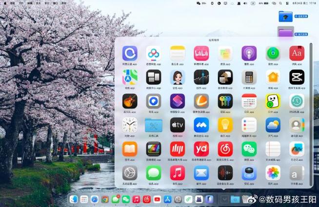 苹果电脑启动台消失的解决方法截图