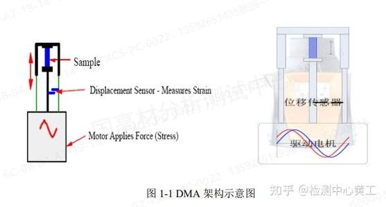 dma真的检测不到吗截图