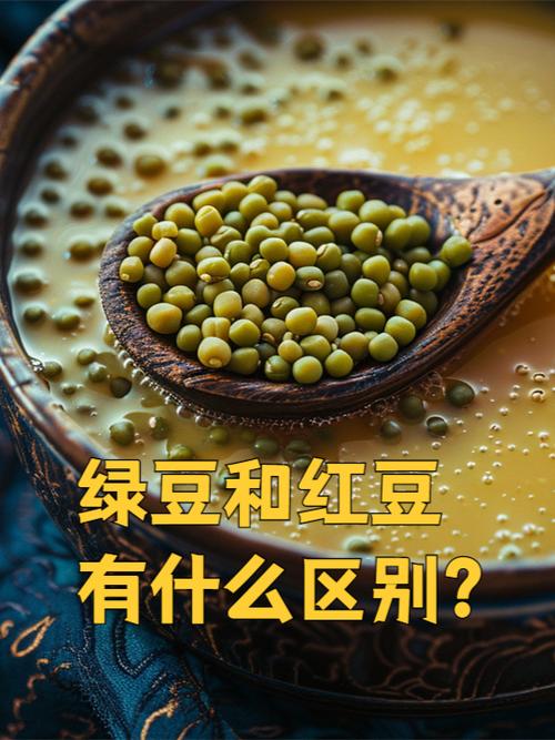 红豆绿豆完整版百度云截图
