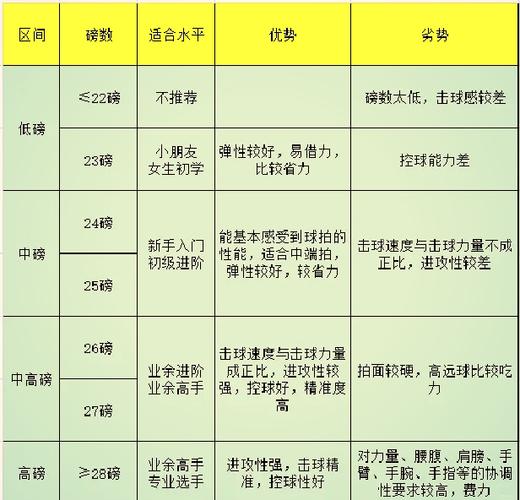 羽毛球拍25磅怎么样图标