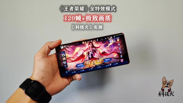 vivo支持王者120帧的手机图标