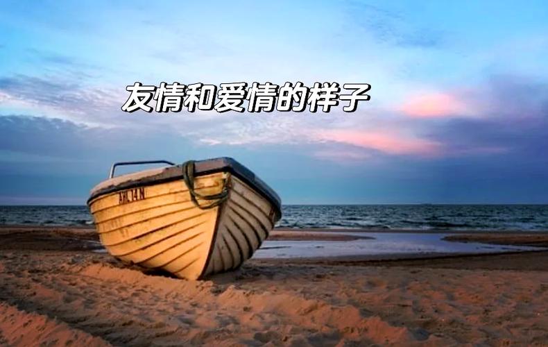 同性之间怎么判断友情和爱情截图