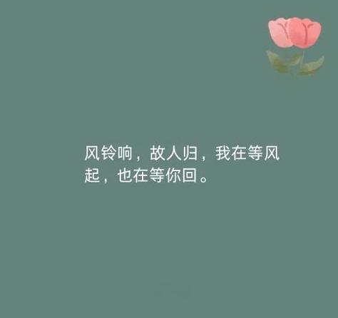 南风过境谢飞飞截图