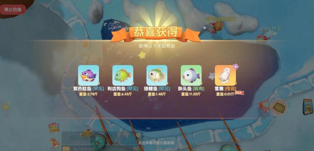 鲨鱼饵料