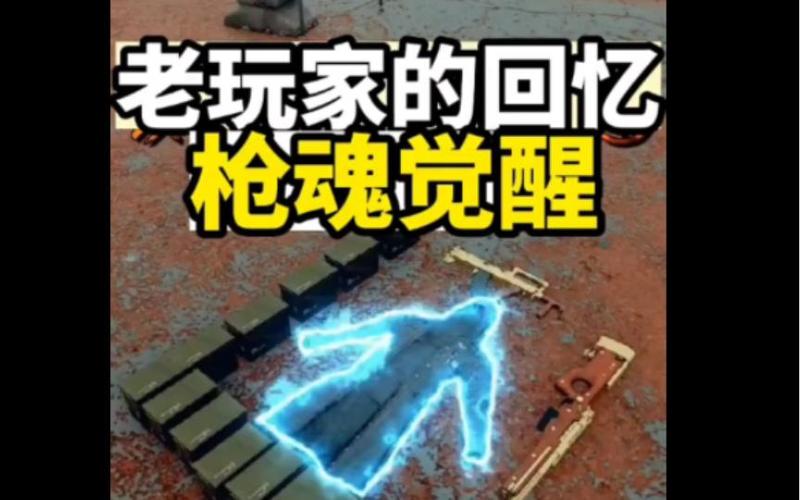 枪魂觉醒2图标