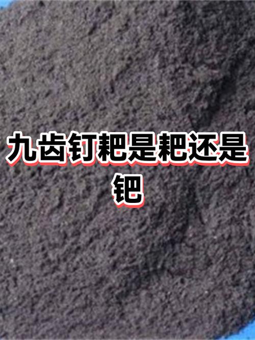 九齿钉耙还是钯截图