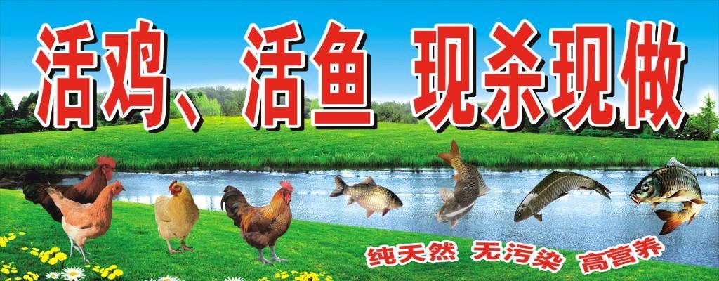高清生态鱼广告图截图