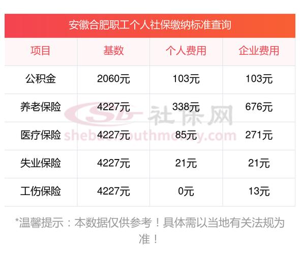 安徽社保个人缴费图标