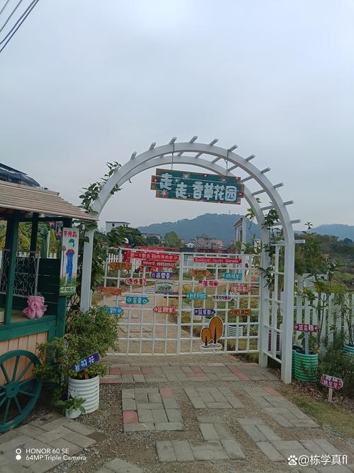 恬甜农场图标