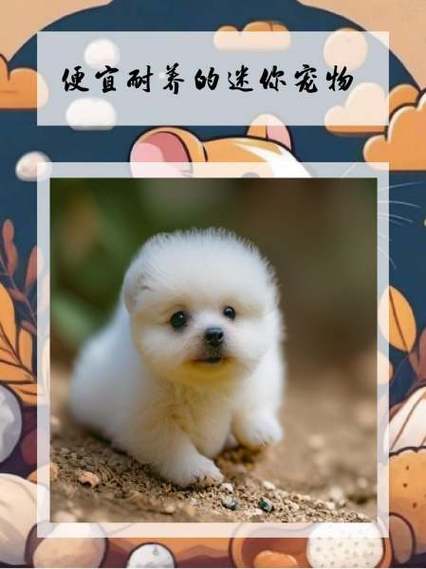 迷你世界怎么养宠物?图标
