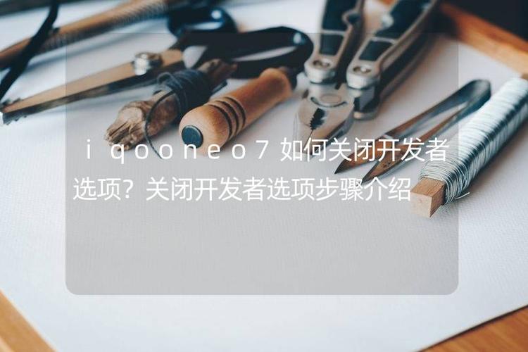 iqoo退出开发者模式图标