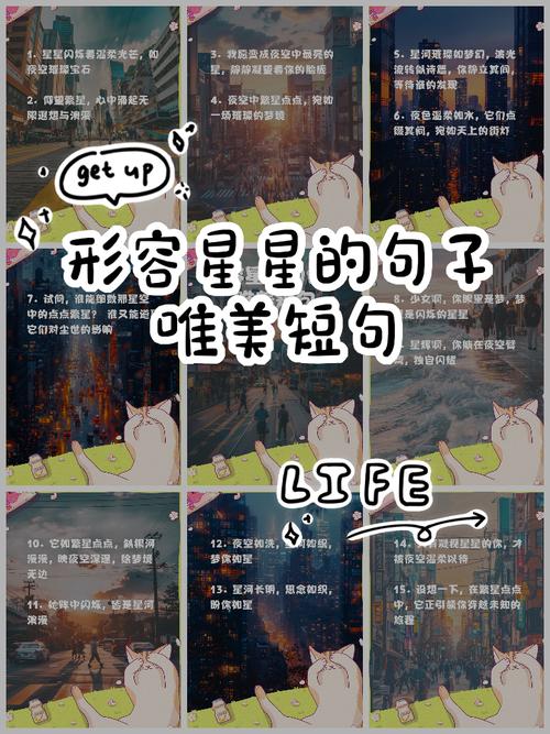 星星的美好爱情句子图标